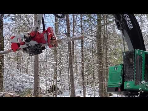 W.A. Day, Jr. & Sons Logging in Andover, Maine