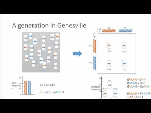 William James: Evolutionary Genetics 1