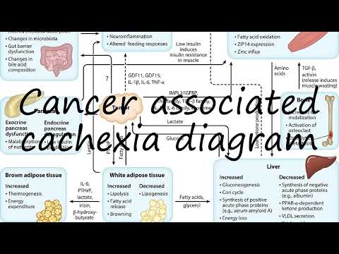 How to pronounce Cancer associated cachexia diagram in English?