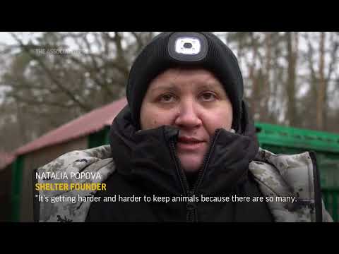 Volunteer saves wild animals from Ukraine frontline