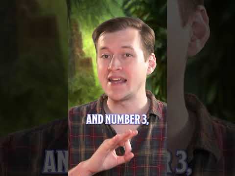 How to Play a SORCERER in D&D!