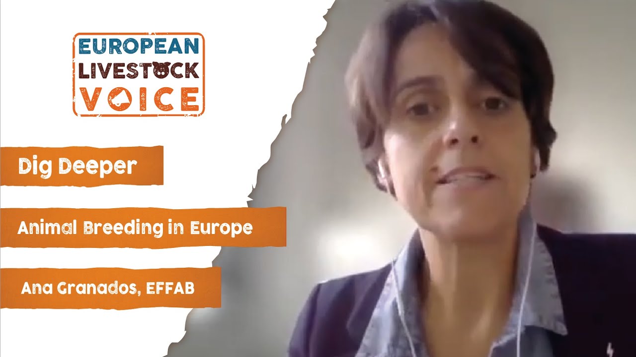 ANIMAL BREEDING IN EUROPE – Interviewing Ana Granados (EFFAB) – Myth busting with the experts