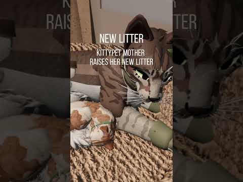 Unique RP Ideas // Kittypet Edition // WCUE // #rp #wcue #warriors