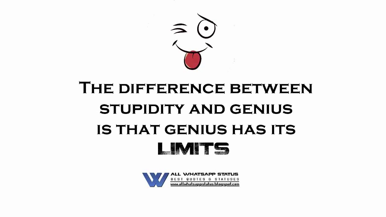 Best Funny WhatsApp Status EVER!