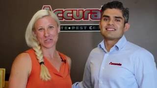 3 Best Pest Control Companies in Irvine, CA - Expert Recommendations