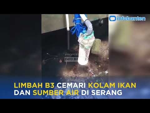 [INFO BANTEN] LIMBAH B3 CEMARI KOLAM IKANDAN SUMBER AIR DI SERANG