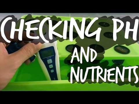 Starting Seeds for Hydroponics: pH Water and Add Nutrients