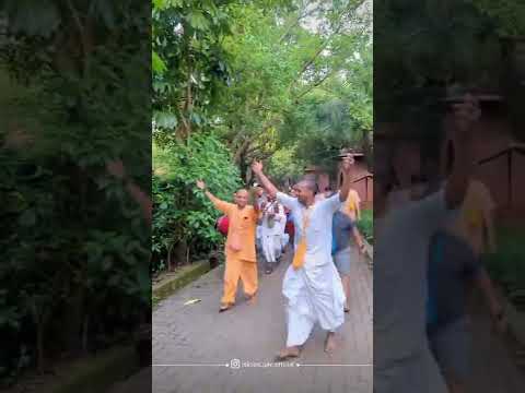 ISKCON GEV | Morning Darshan | Govardhan Ecovillage