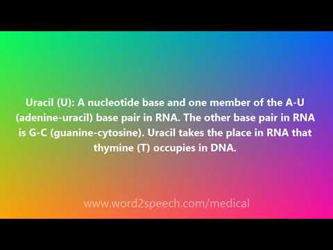 Uracil (U) - Medical Meaning and Pronunciation