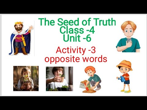 Activity 3 Opposite words The Seed of Truth Class 4 Unit 6