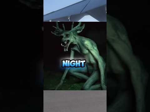 Animals That Look Scary At Night! Pt8 #shorts #scary
