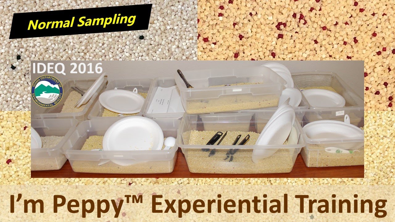 I'm Peppy™ Experiential Sampling Clip (Module 5; 2016)