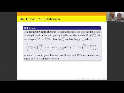 Evgeniya Akhmedova | The tropical amplituhedron