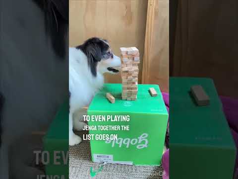 One of the smartest dogs ever 👏❤️