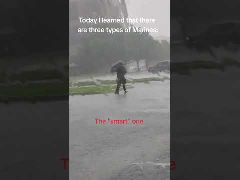 The different types of marines