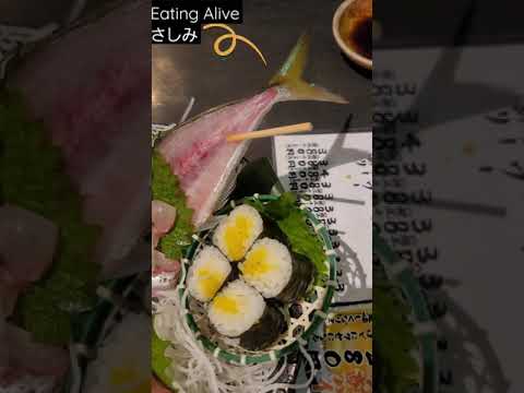 SASHIMI IN JAPAN