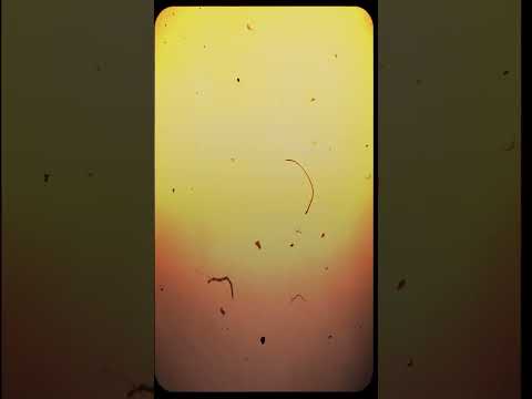 Super Overlay From Old Film Negative Film 8mm
