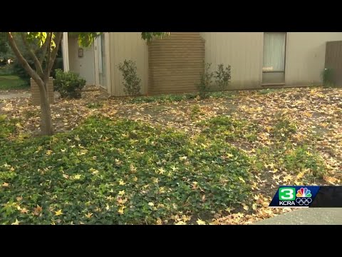 Residents ask Sacramento HOA to stop using Roundup