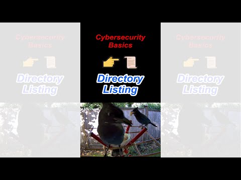Directory Listing Explained in Under a Minute - Cybersecurity Basics
