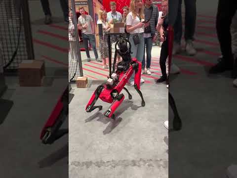 Robot Dog by Vodafone