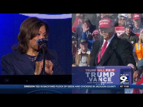 Local Oregonians react to 2024 election results