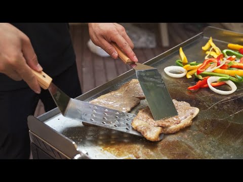 Stanbroil Flat Top Griddle & Accessories for Blackstone Cooking Station, Stainless Steel