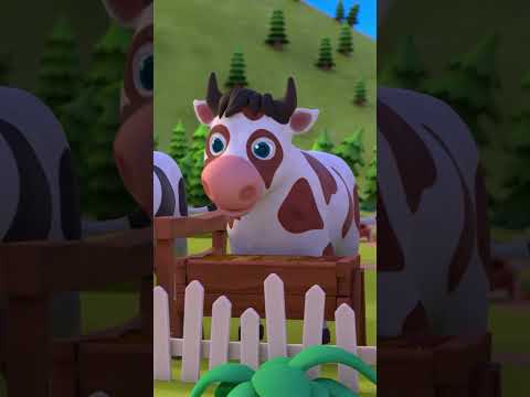 Moo Moo Here & Moo Moo There | Old Macdonald had a cow | NuNu Tv #kindergartensong #babysongs