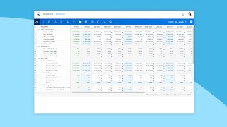 Program Expense Budgeting for Nonprofits | Workday Marketplace