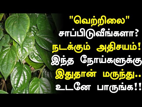 வெற்றிலை 4 மருத்துவ நன்மைகள்! | Betel leaves Health Benefits in Tamil| Vetrilai Health Tips in Tamil