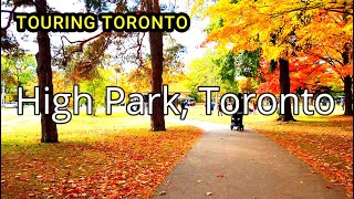 3 Best Hiking Trails in Toronto, ON - Expert Recommendations