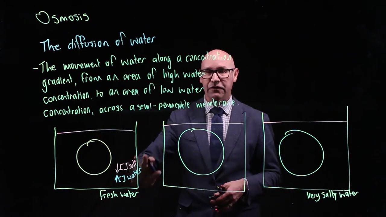 An introduction to osmosis
