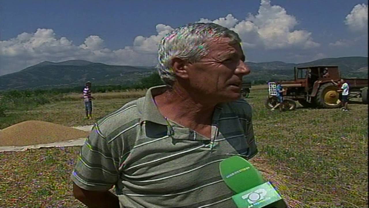 Gruri “mërzit” fermerët - Top Channel