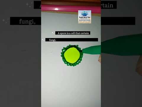 what is spore? #spore#shorts #trending #microbiology