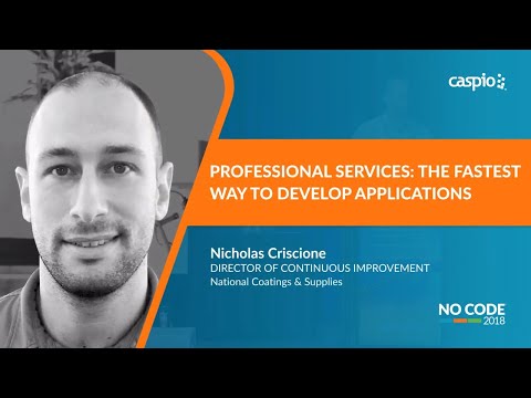 Professional Services: The Fastest Way to Develop Applications (Business Services)