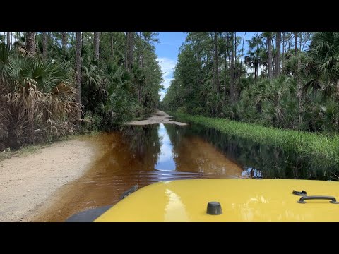 Tosohatchee WMA with flooded roads