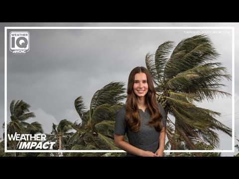 How tropical systems can unleash tornadoes | Weather IQ
