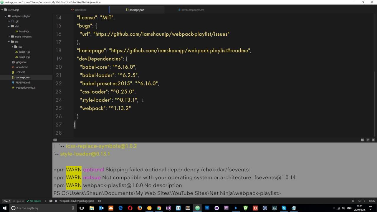 Webpack Tutorial for Beginners #5 - CSS Loaders