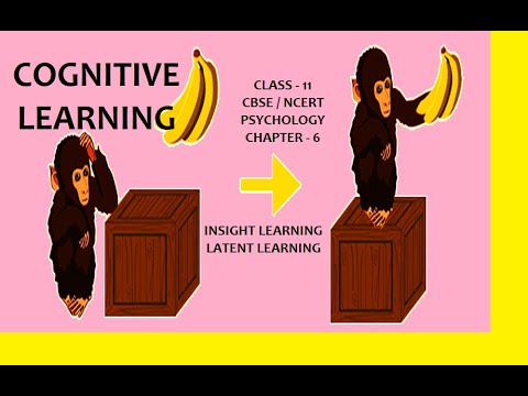 CLASS-11, PSYCHOLOGY, CHAPTER- 6. COGNITIVE LEARNING. #cbse #ncert #psychology #class11 #msw #learn