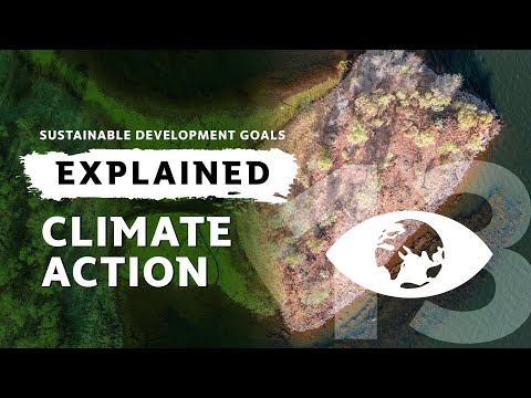 SDGs Explained: #13 Climate Action