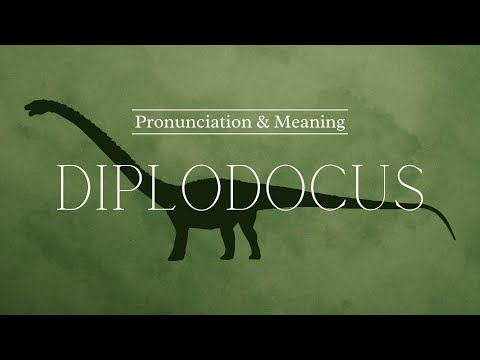 How to Pronounce: Diplodocus | British Pronunciation & Meaning