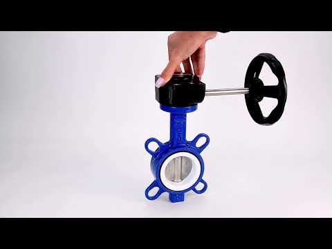 Water Butterfly Valve Elephant WCB-316L-PTFE-HAM