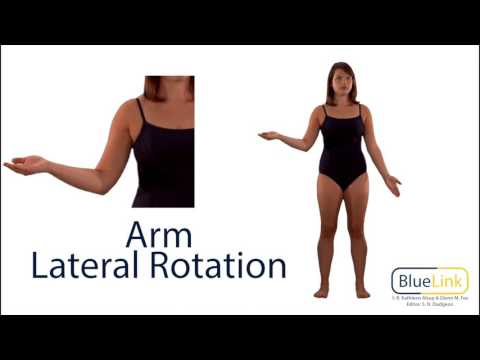 Arm Medial and Lateral Rotation