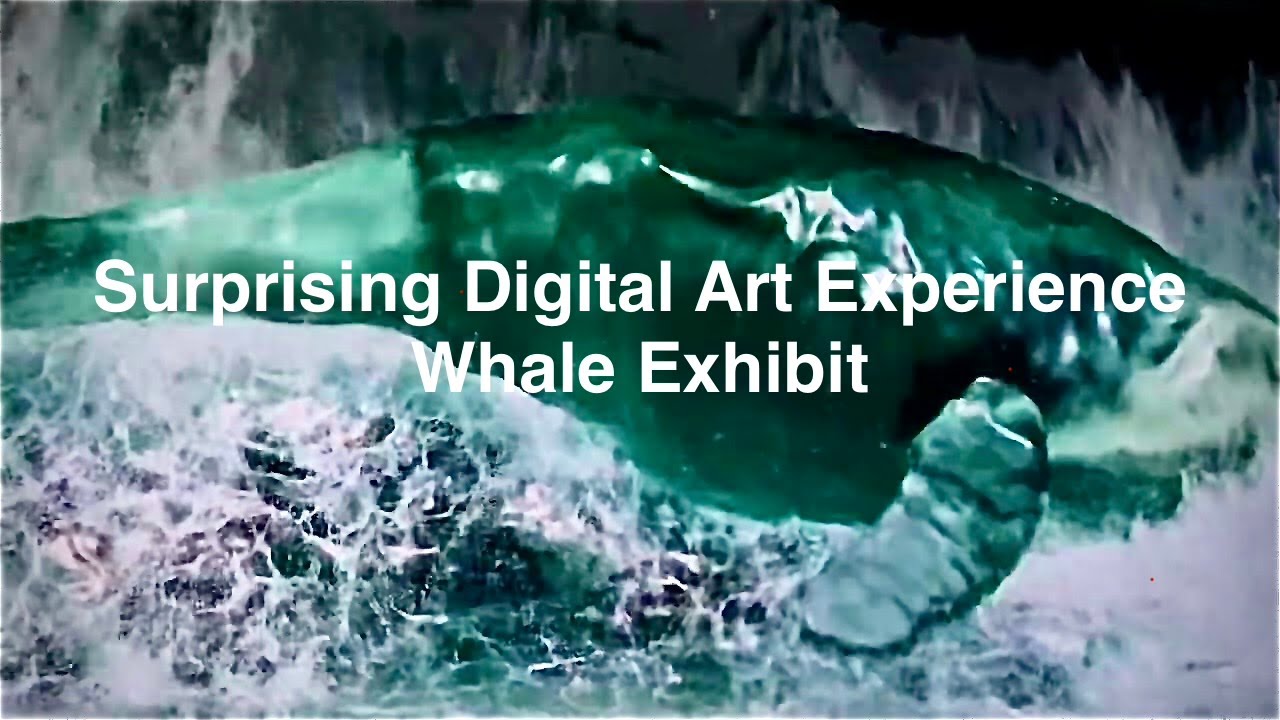Life-Sized Digital Whales Feel Surprisingly Real
