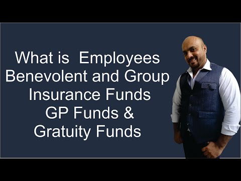 What is Employees Benevolent and Group Insurance Funds GP Funds & Gratuity Funds