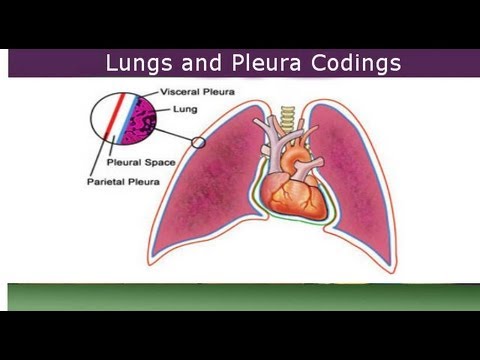 Medical Coding Guide to Lungs and Pleura Procedures