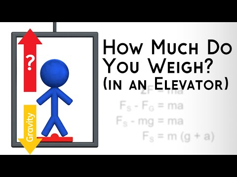 Calculate Normal Force & Scale Reading in an Elevator | Apparent Weight vs. Gravity