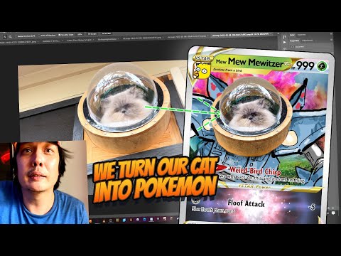 WE MAKE A CUSTOM POKEMON CARD FOR OUR CAT (WORTH 1 MILLION DOLLARS)