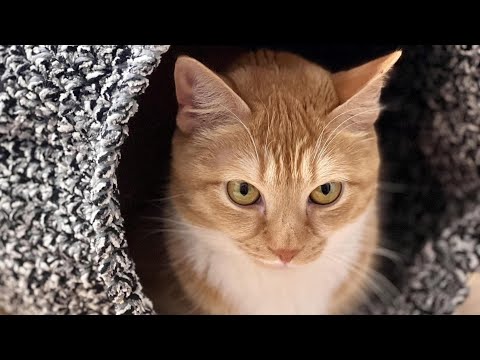 Cozy Yarn Hideaway by HodgePodge Crochet