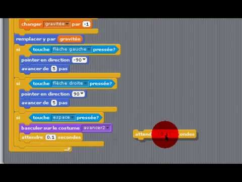 Jeu éducatif: scratch (2) | Sciences de la vie et de la Terre