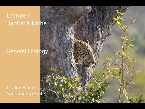 Lecture 6: Habitat & Niche